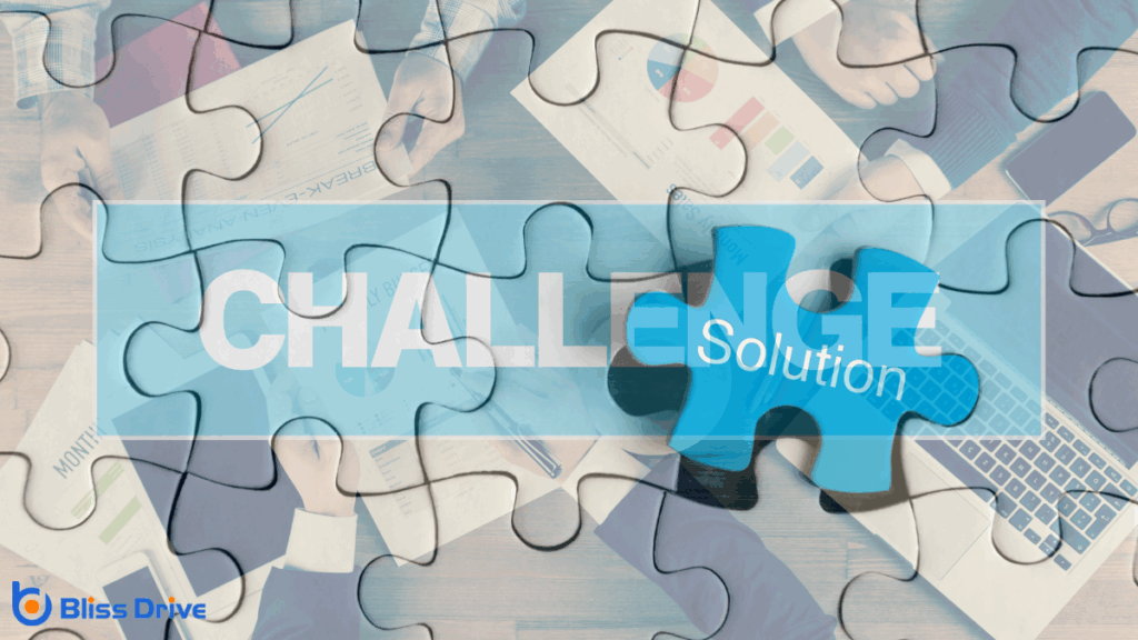 What Is Organization Schema? - Bliss Drive